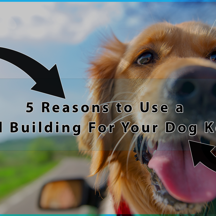 Blog - Coastal Steel Structures