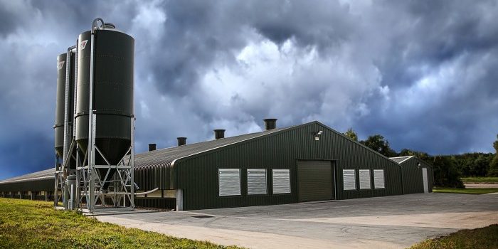 3 Things Every Poultry Barn Needs - Coastal Steel Structures