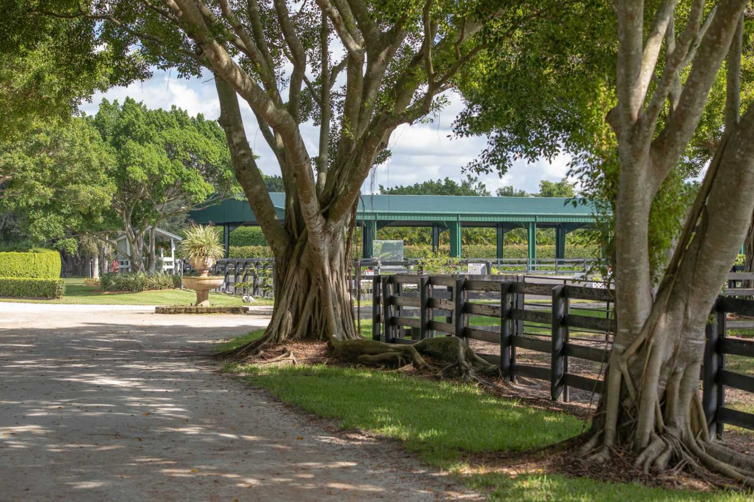 ride-and-train-throughout-the-year-with-your-own-indoor-riding-arena